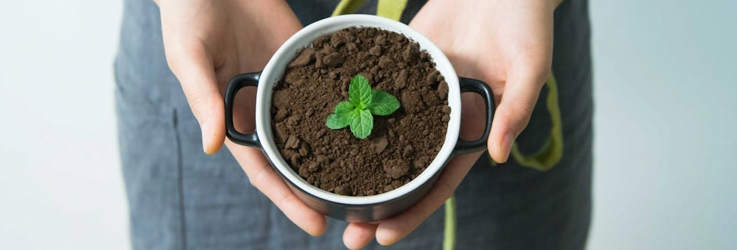 Eco-Friendly de Verdade: O Que Isso Significa na Prática?