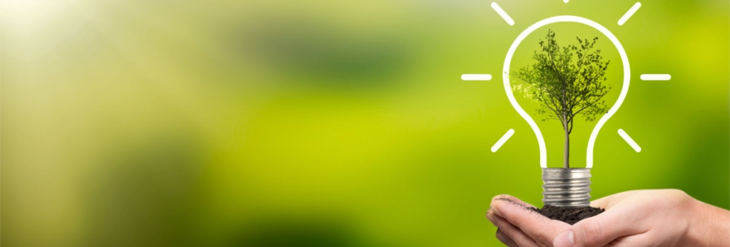 Desvendando o Conceito de Biodegradabilidade: Exemplos e Impacto Ambiental